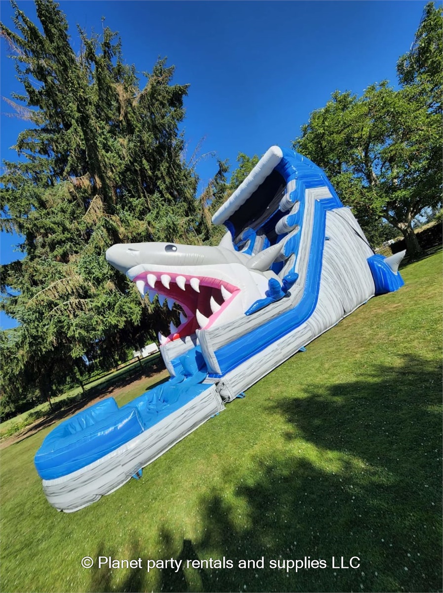 Mega Shark Dual Water Slide - Bounce houses and party supplies in Salem ...