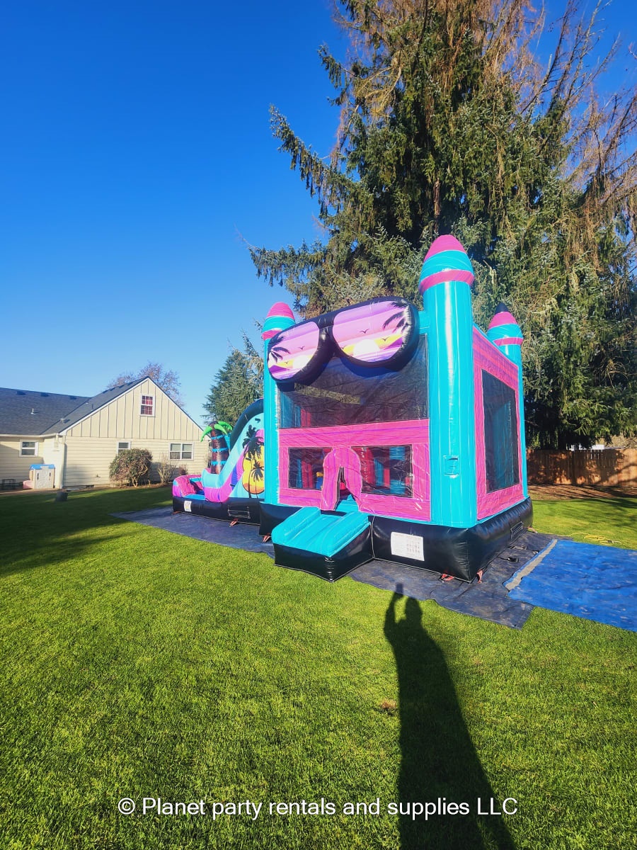 Sun Beach Bounce House Water Slide Combo - Bounce houses and party ...