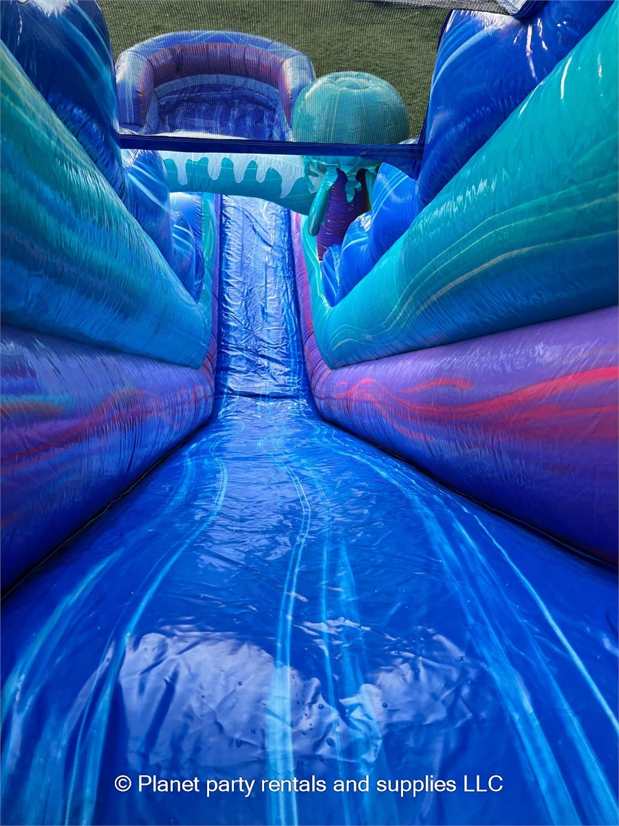 Yelly-Fish Water Slide - Bounce houses and party supplies in Salem ...