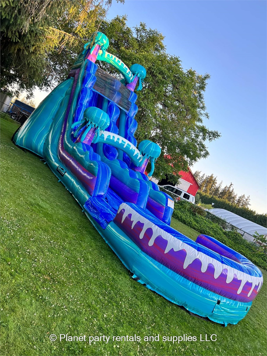 Yelly-Fish Water Slide - Bounce houses and party supplies in Salem ...